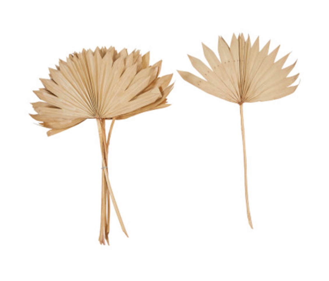 Dried Natural Palm Bunch, Sun Cut | Tosh Co. Home Store